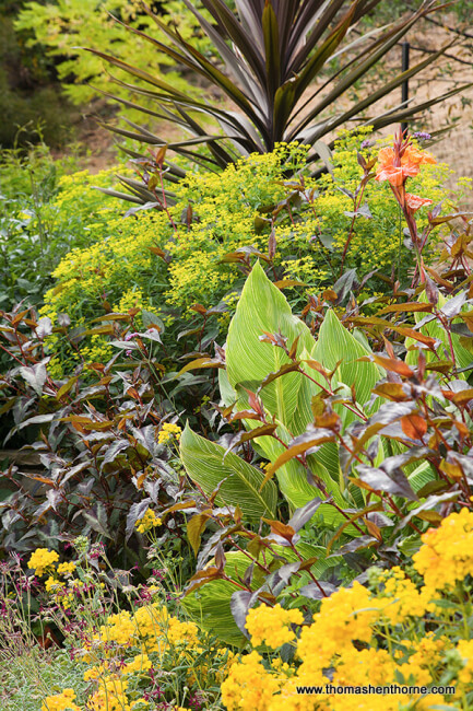 Henthorne Landscape Design | Portfolio - Thomas Henthorne