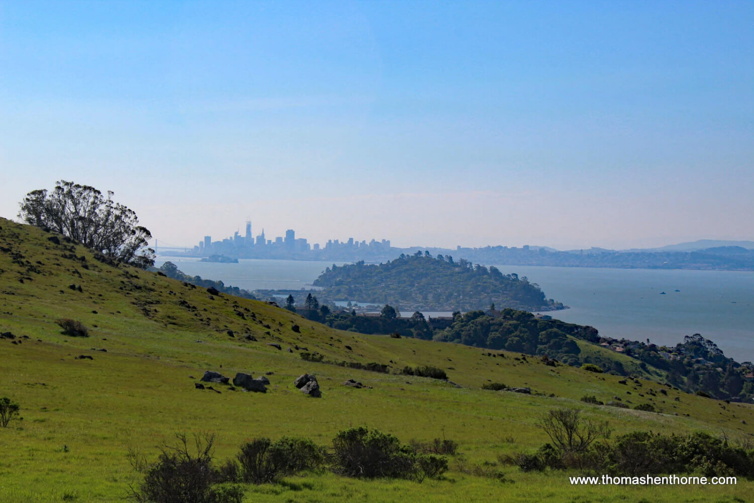 Best Marin Hikes | Top 10 Hikes in Marin County - Thomas Henthorne