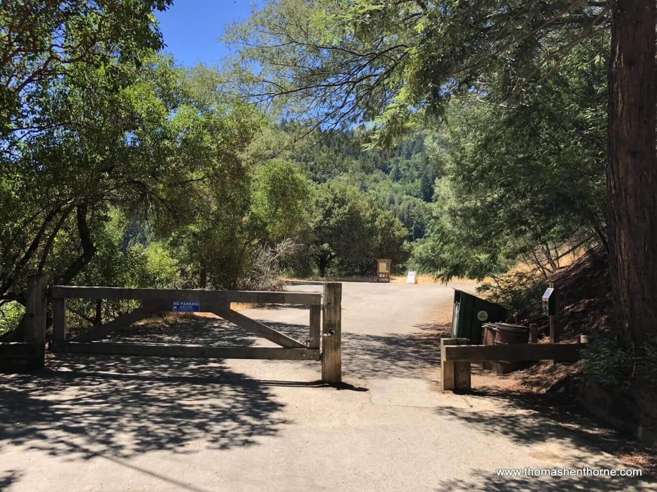 Crown Road Hike | Marin County Loop Hikes | Kentfield | Marin Hikes