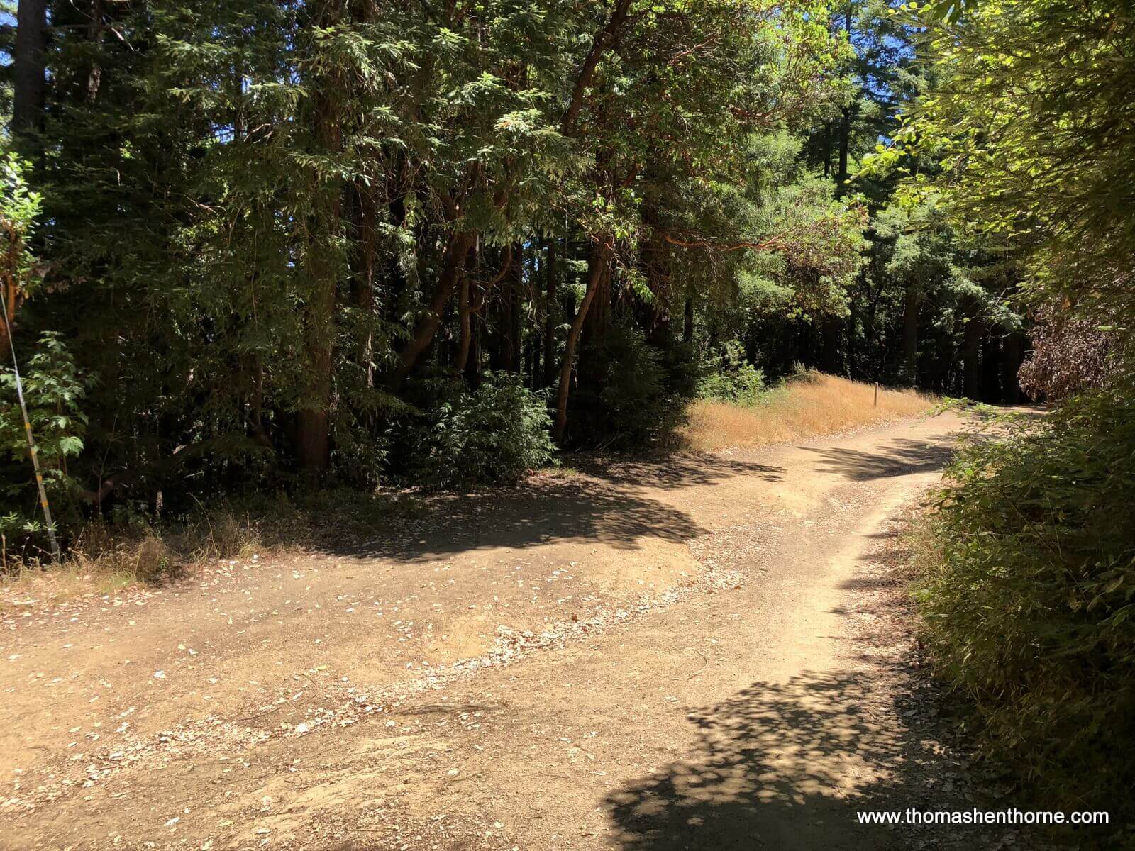 Crown Road Hike | Marin County Loop Hikes | Kentfield | Marin Hikes